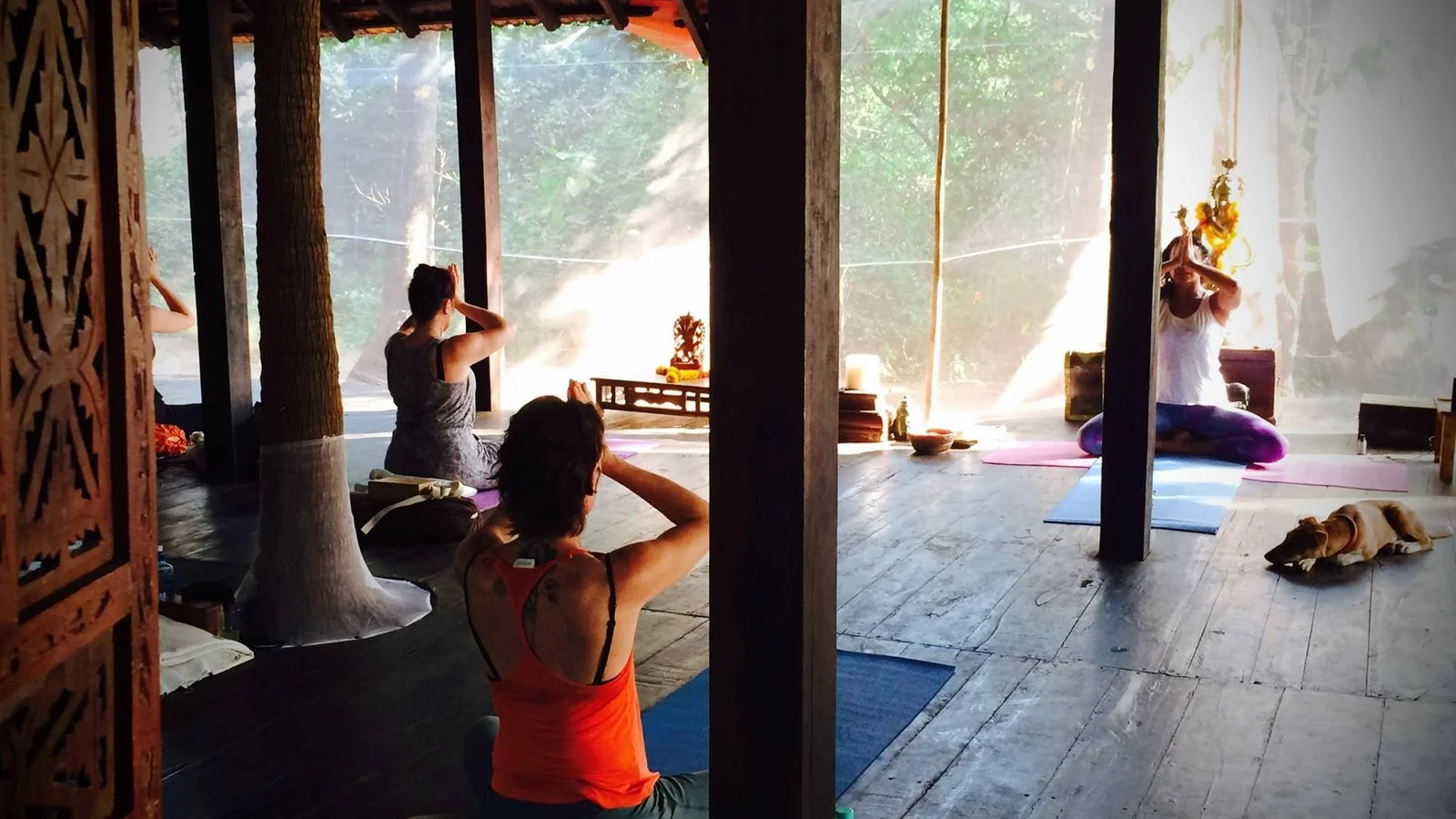 India Yoga Retreat — Yoga Healing Nature