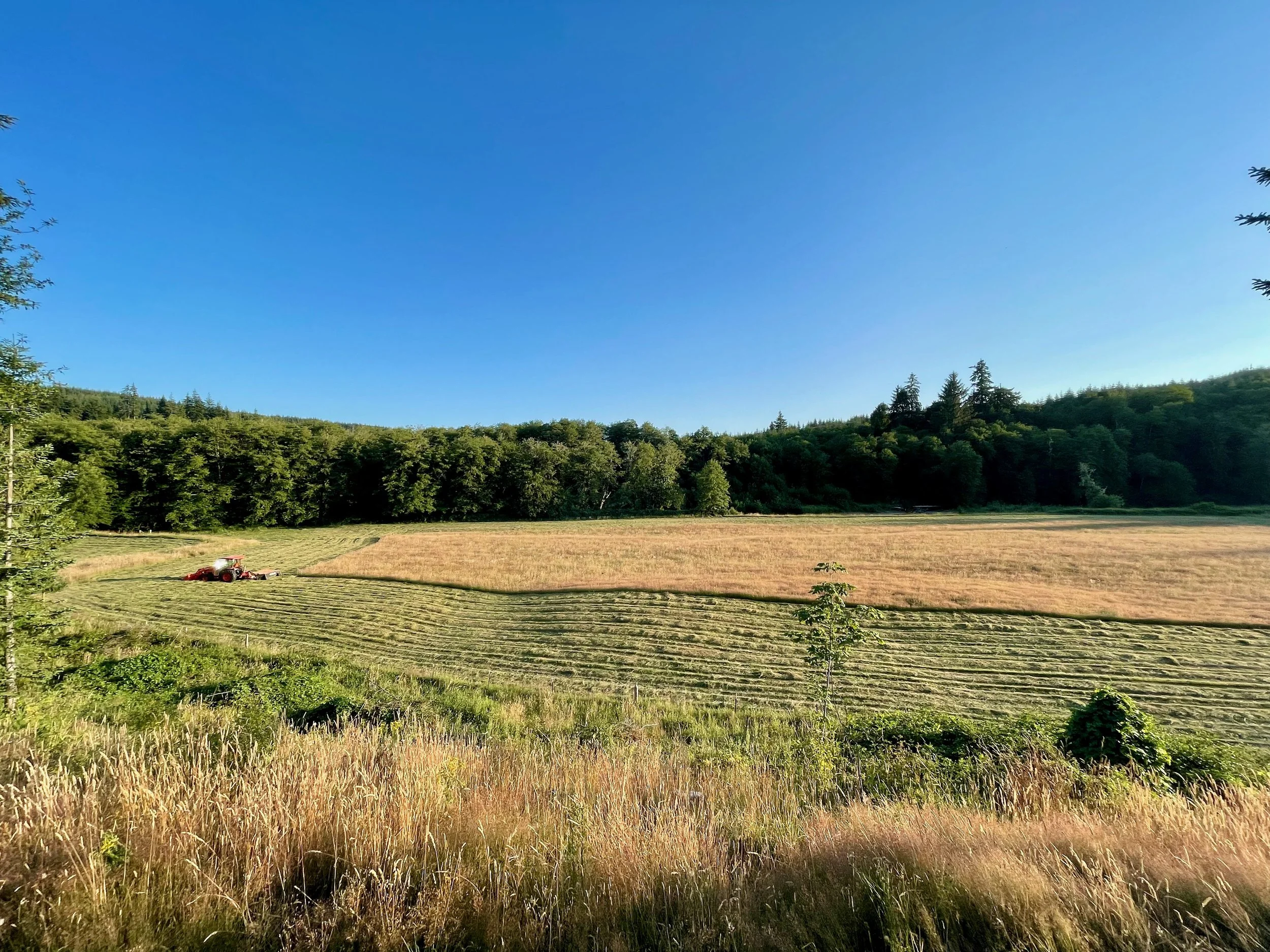 Welcome [www.hyperionranch.com]