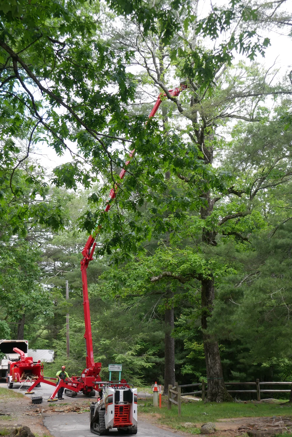 Thanks to Schneider Tree Care — YMCA Camp Greenville