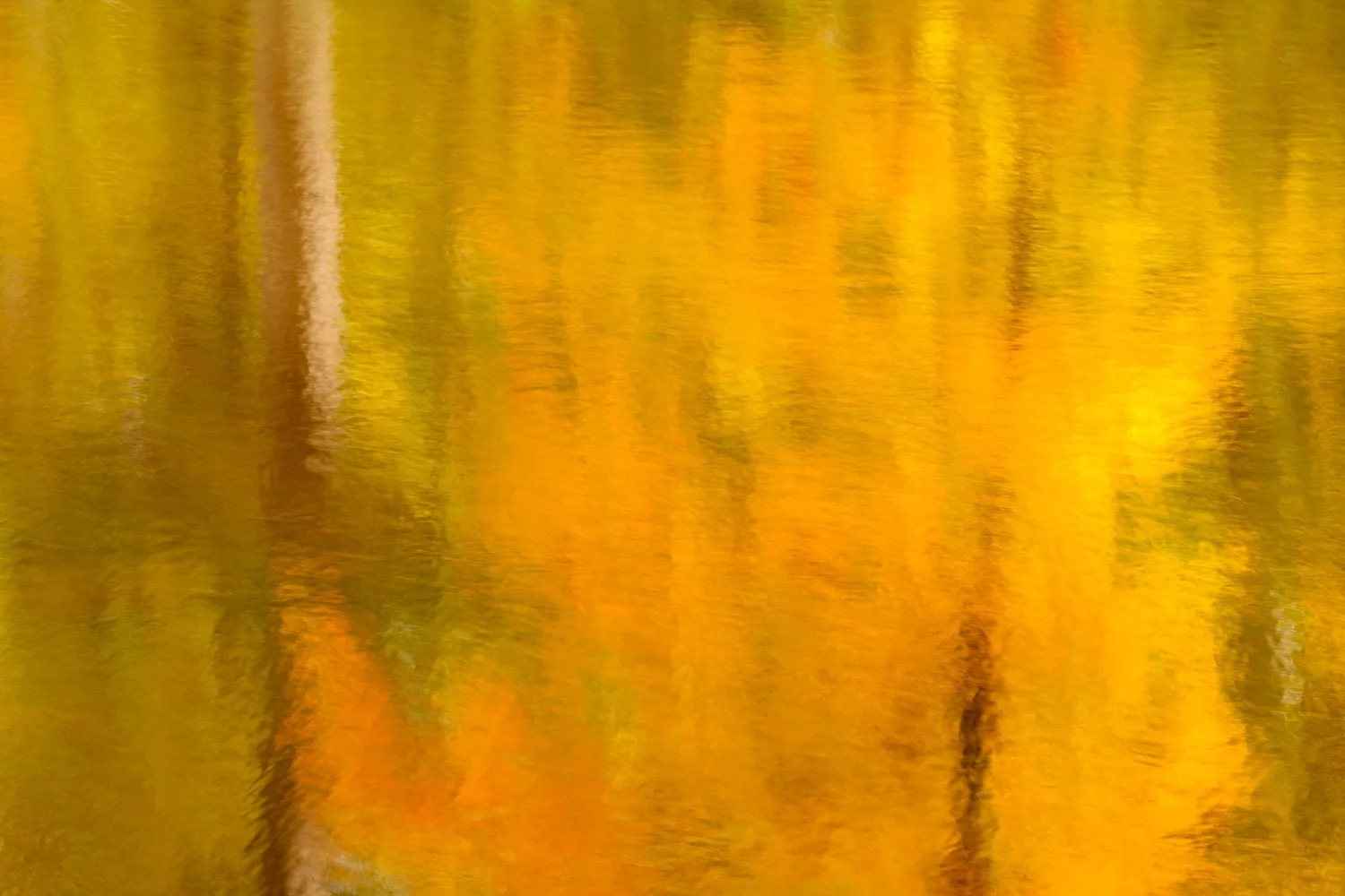 No "Photoshop" - Single Image Capture - Blog — Powder Hill Photography