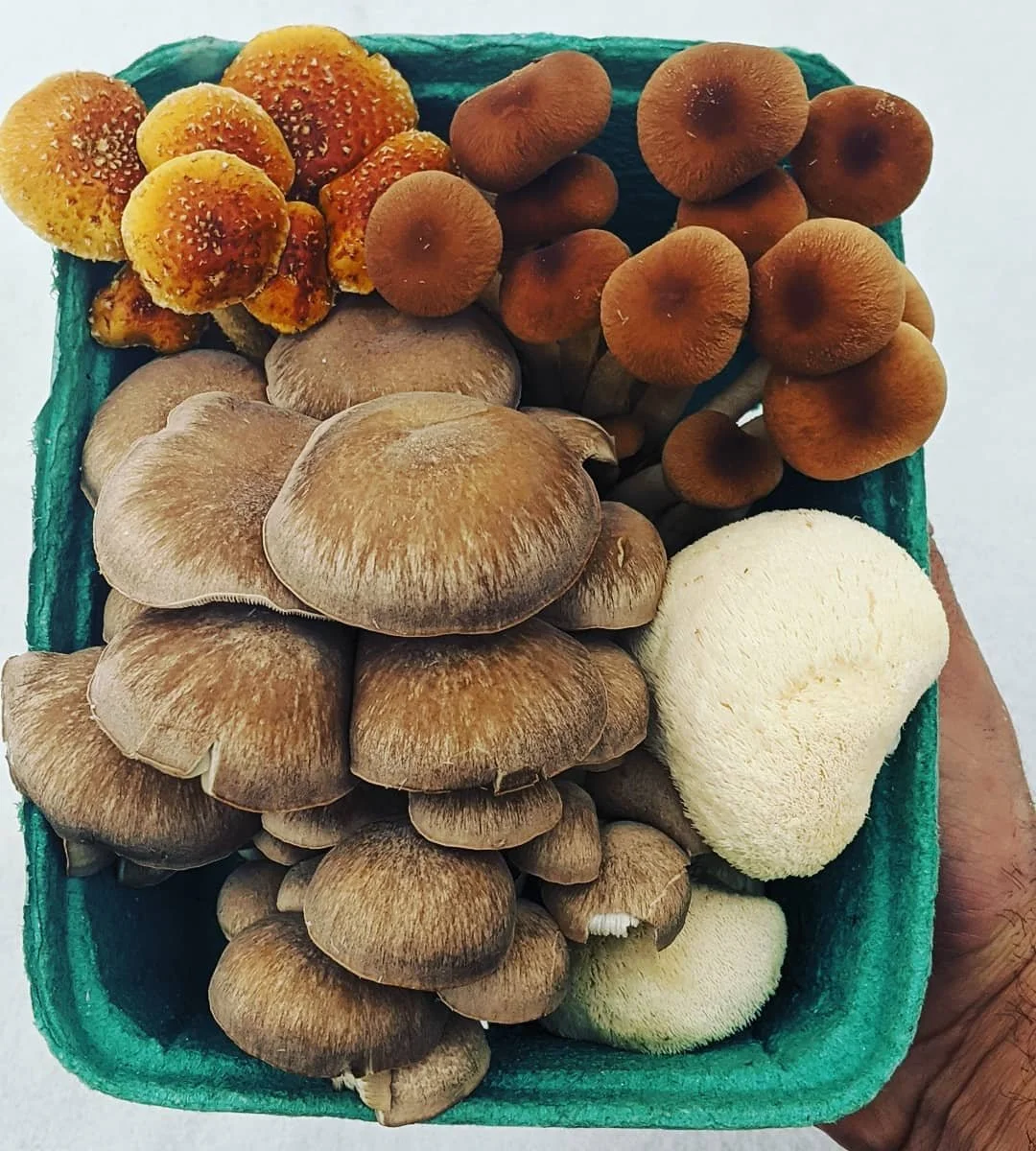 Miller's Mushrooms