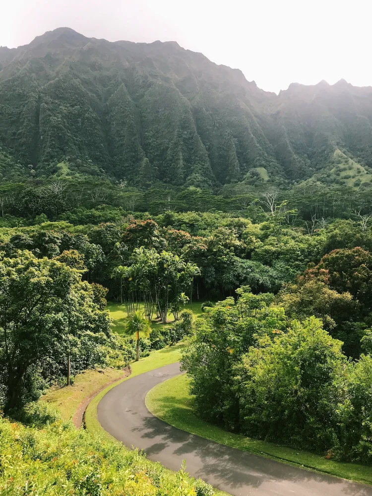 Our Kūpuna