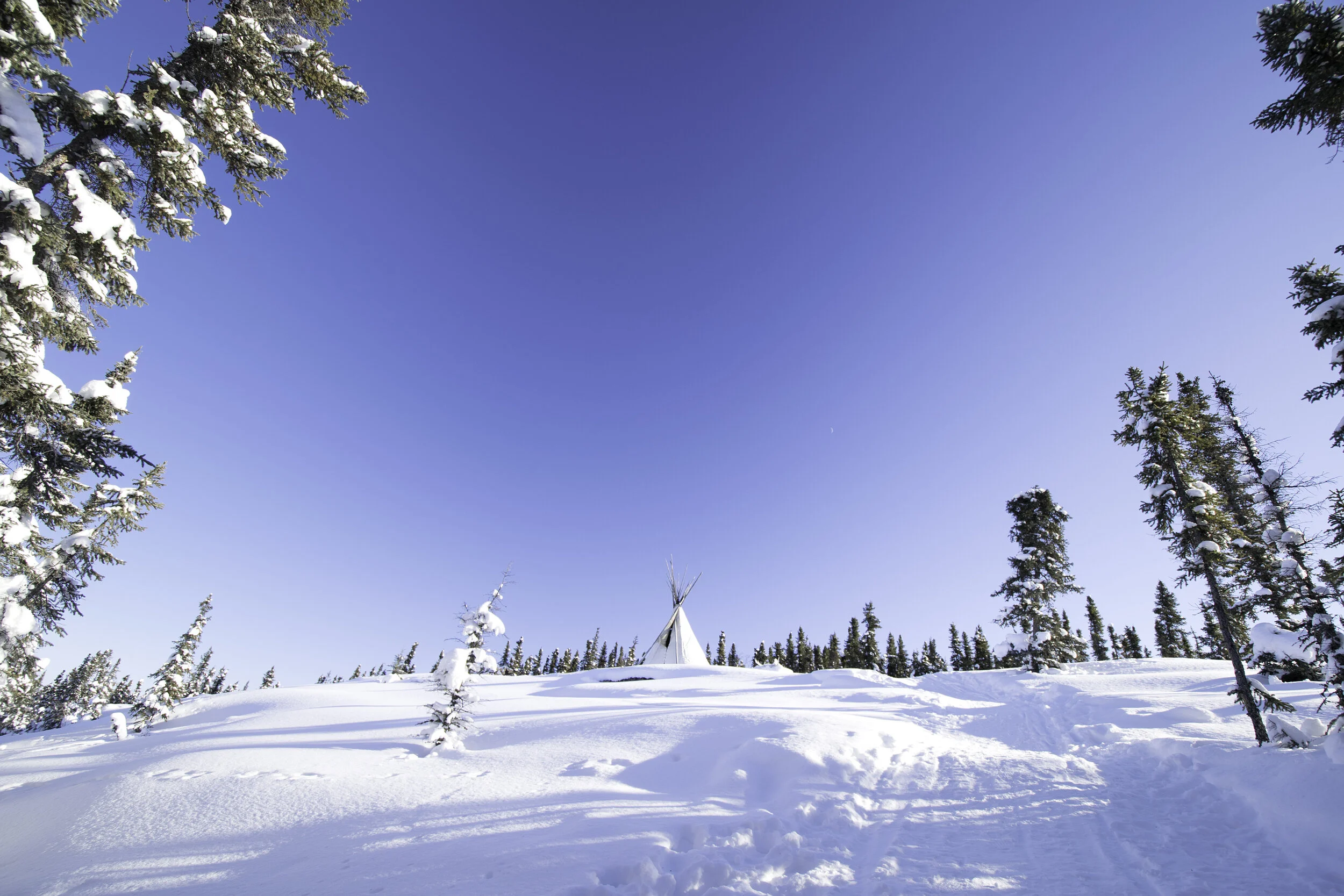 The Best Things to do in Canada in Winter — Project Local Love