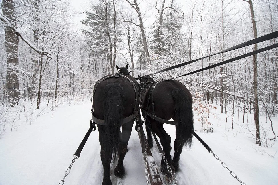 7 Amazing Sugar Shacks in Ontario to Enjoy Maple Syrup Season — Project ...