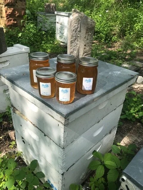 Colby - Hook's Cheese — Wisconsin Weekly Harvest