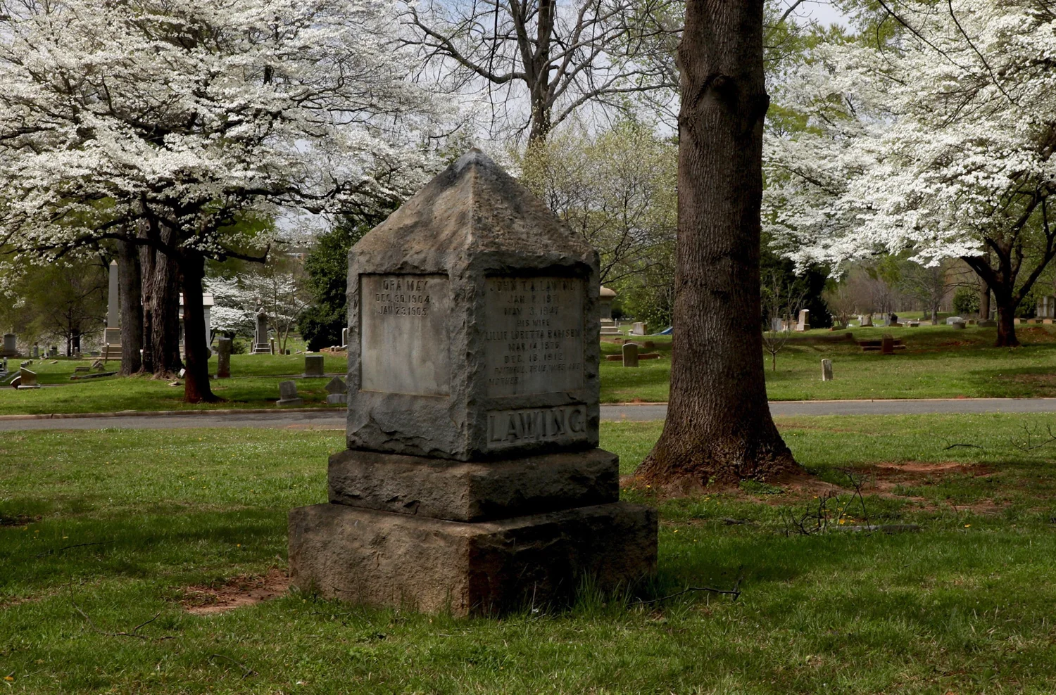 Media — Historic Elmwood Pinewood Cemetery