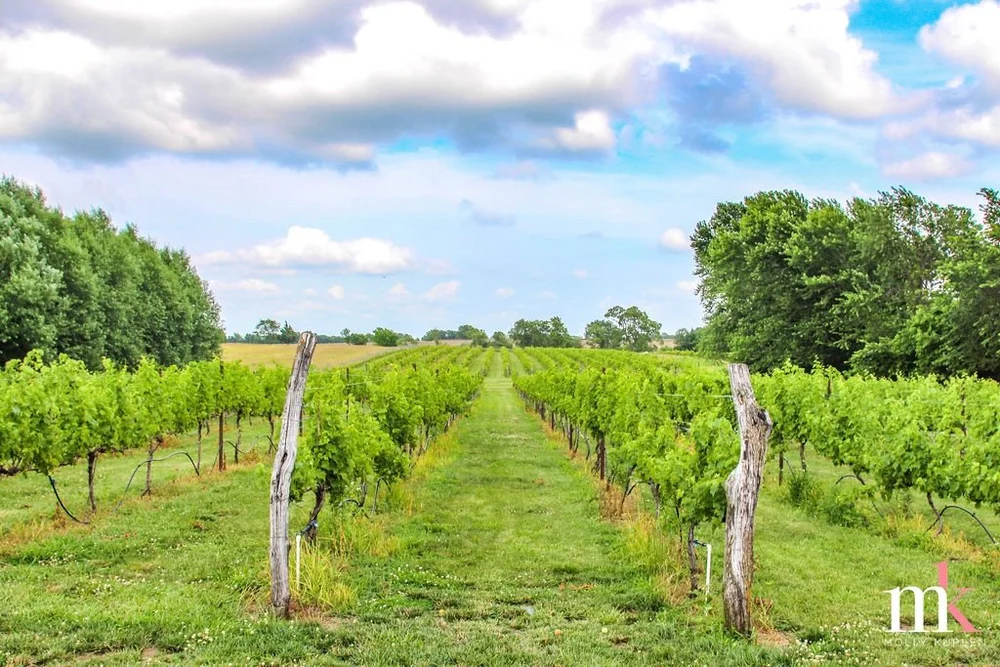 The Winery | KC Wine Co | Kansas City Winery & Vineyard
