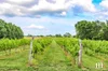 The Winery | KC Wine Co | Kansas City Winery & Vineyard