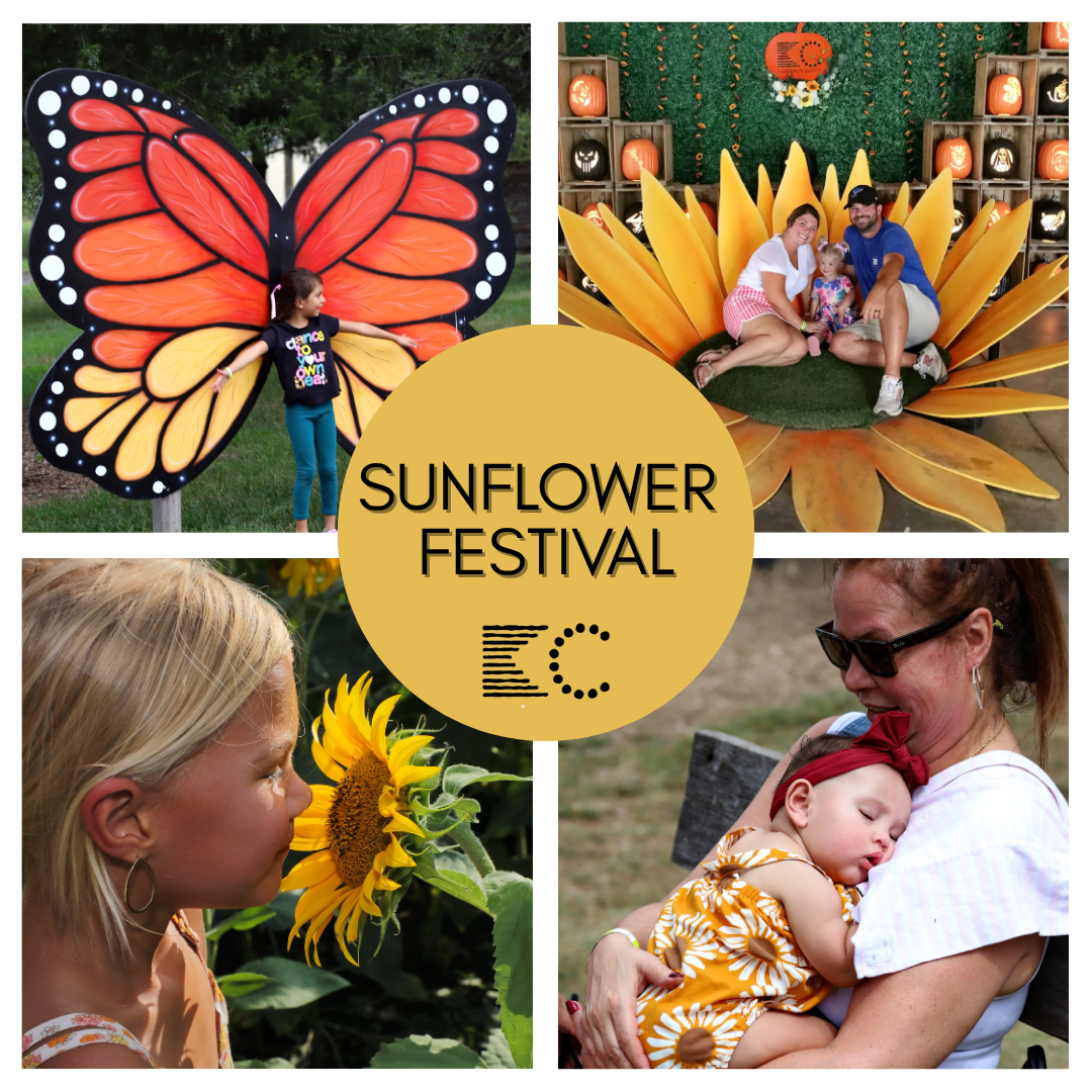Sunflower Festival | Sunflower Field | Family Event | Kansas City ...