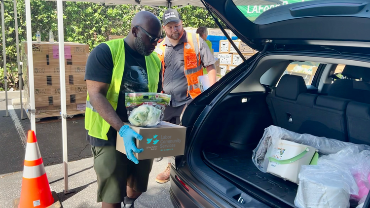 Labor Community Services