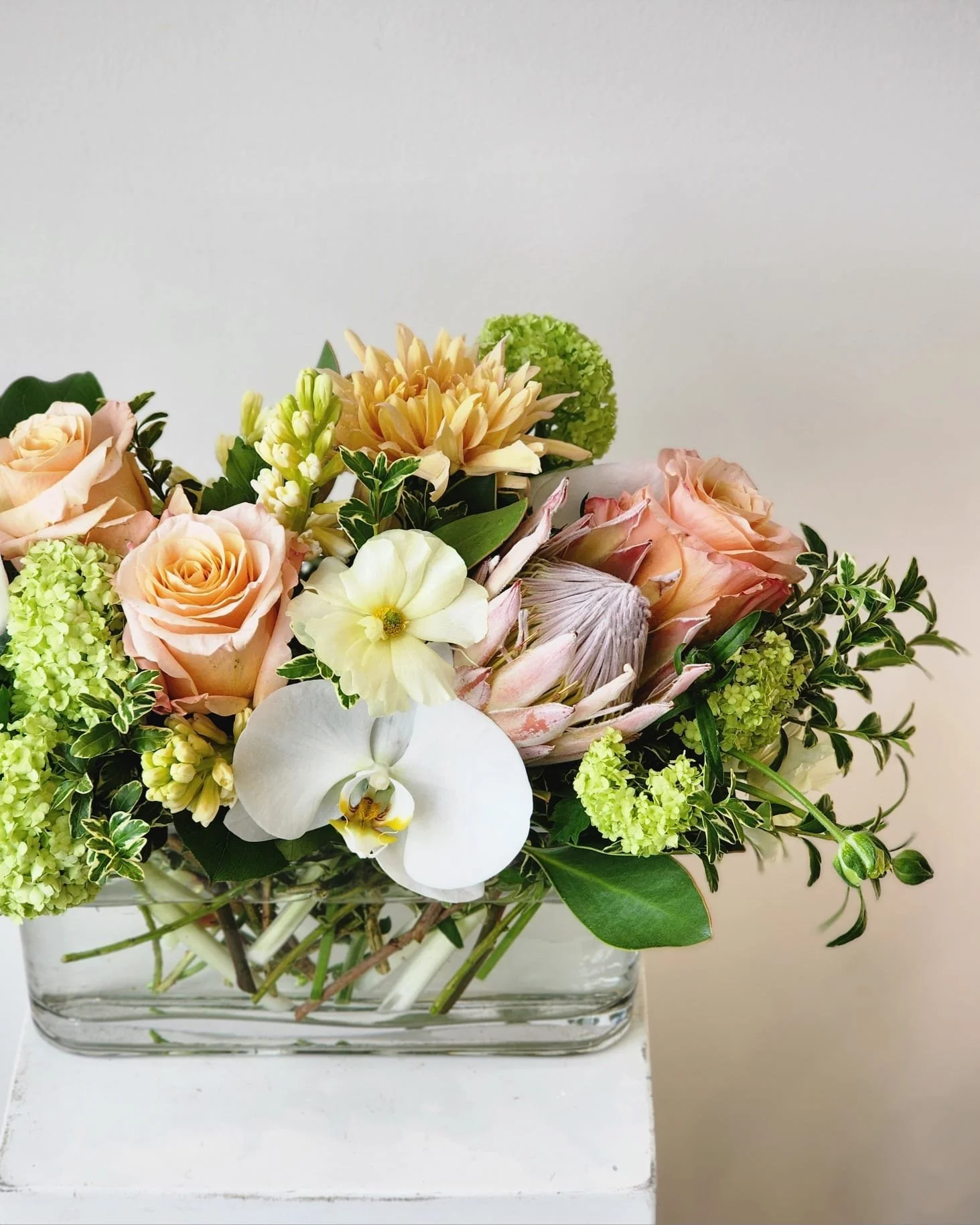 Gallery — Swish + Company