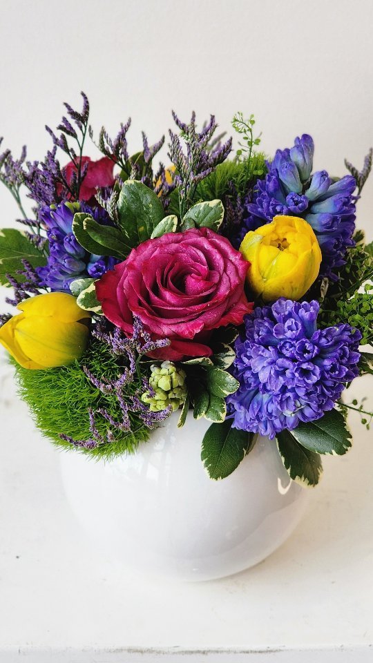 Gallery — Swish + Company