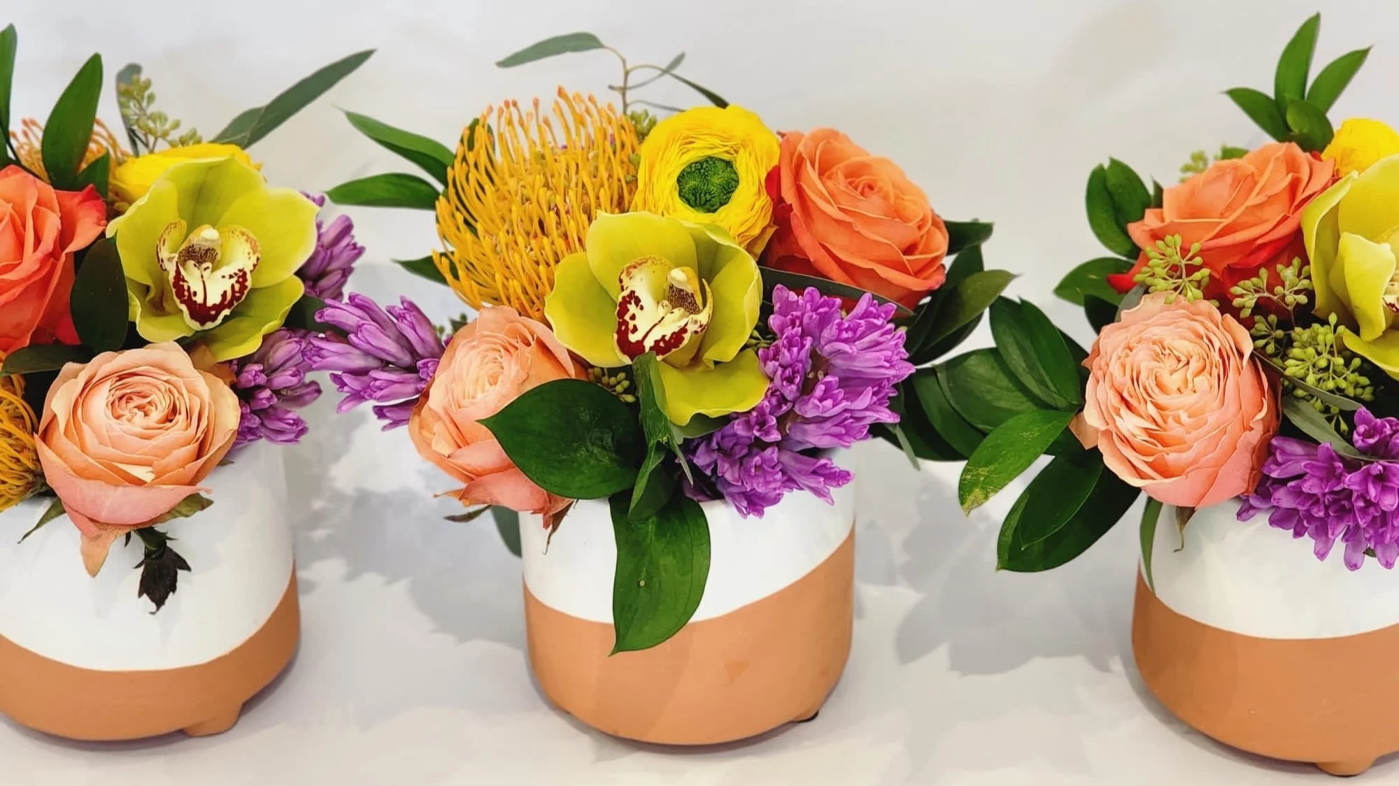 Gallery — Swish + Company