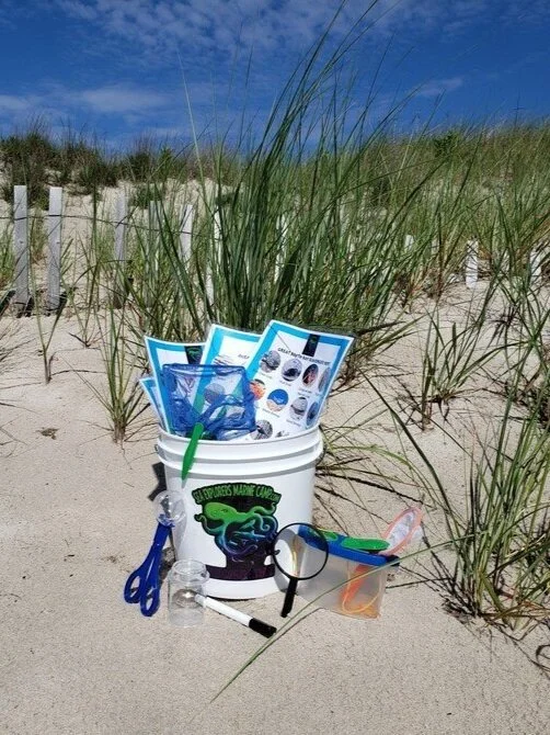 Sea Explorers Marine Experience — CCE Marine Digital Education