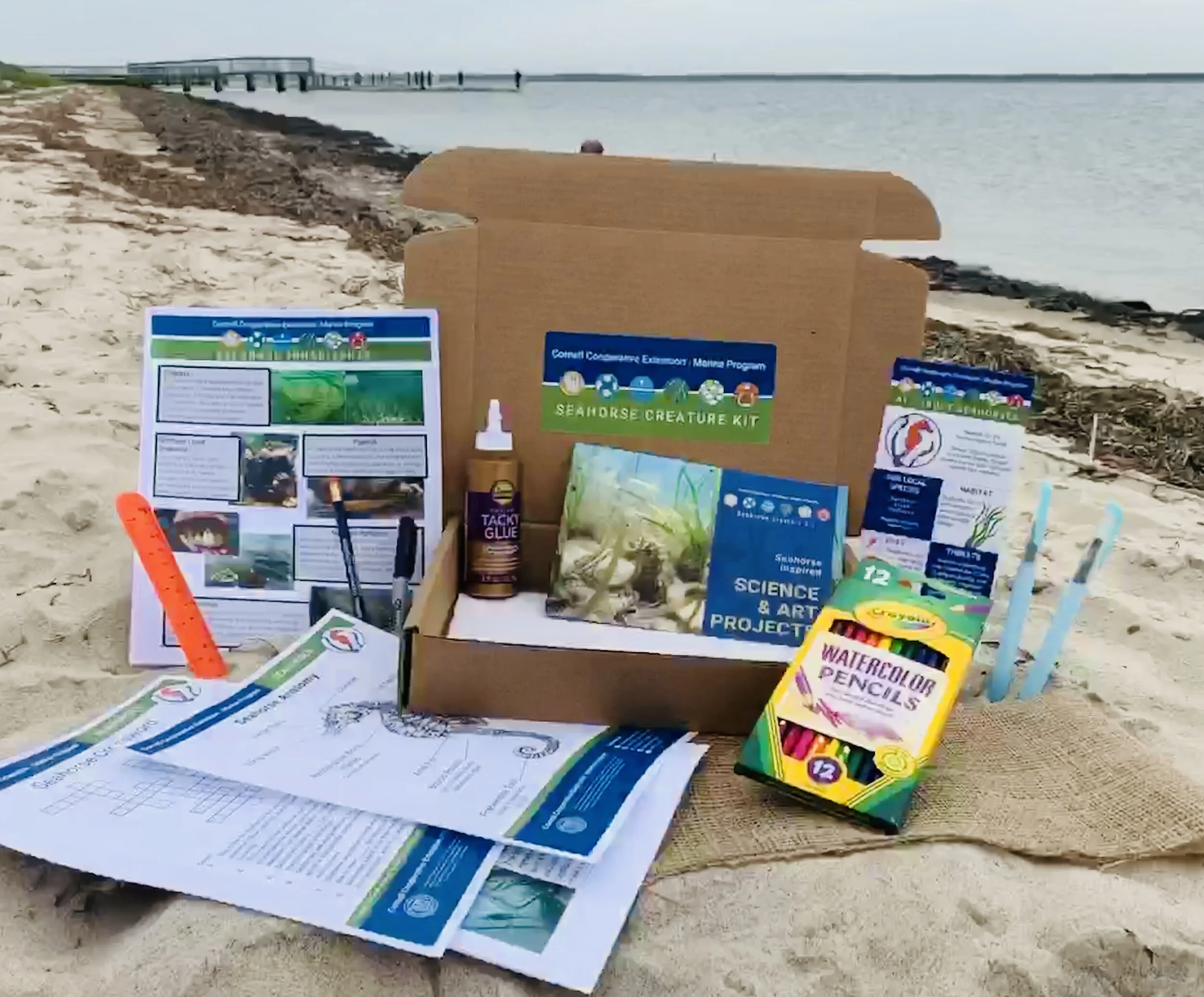 Seahorse Creature Kit — CCE Marine Digital Education