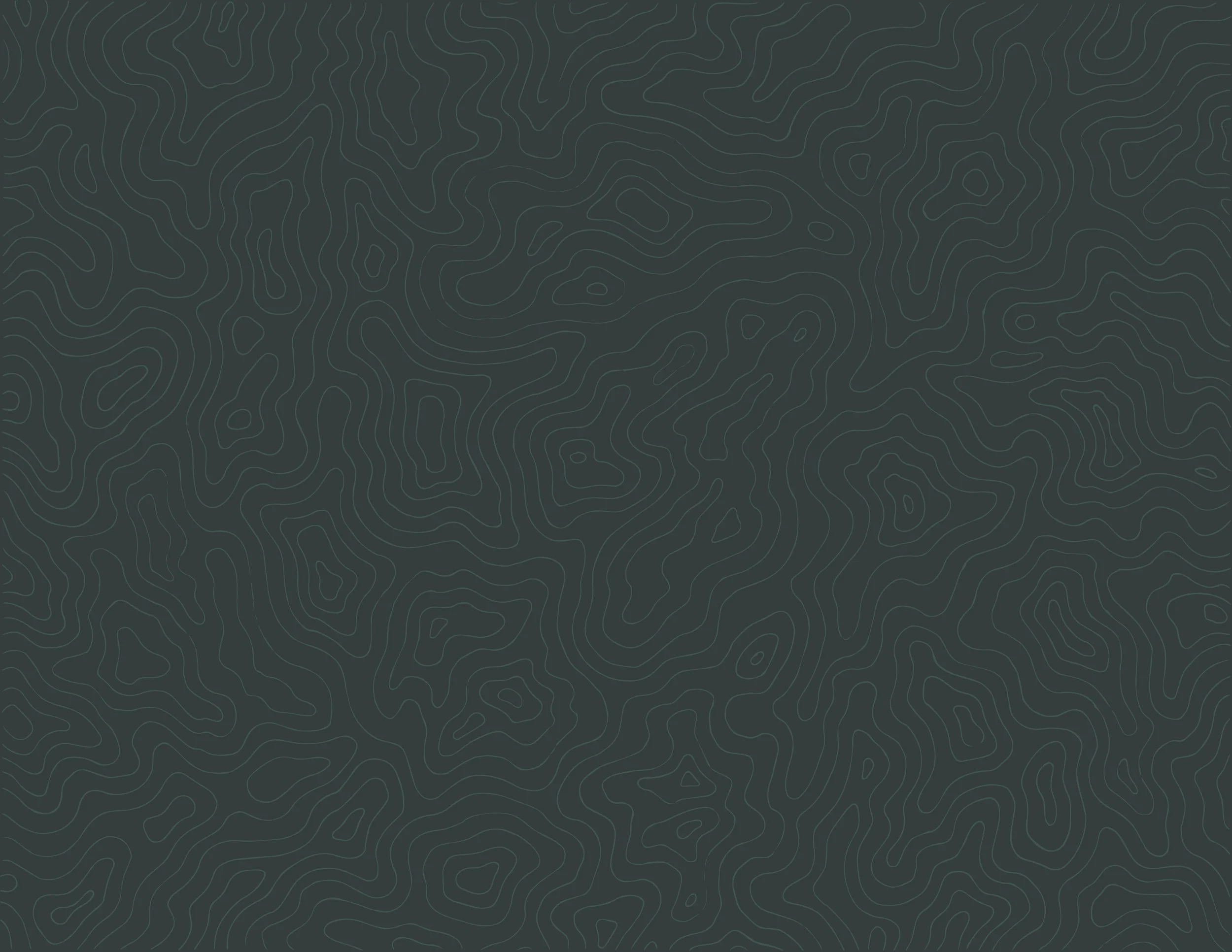 Which Trail Running Shoes Are Best for Wide Feet: My Top 10 Picks for ...