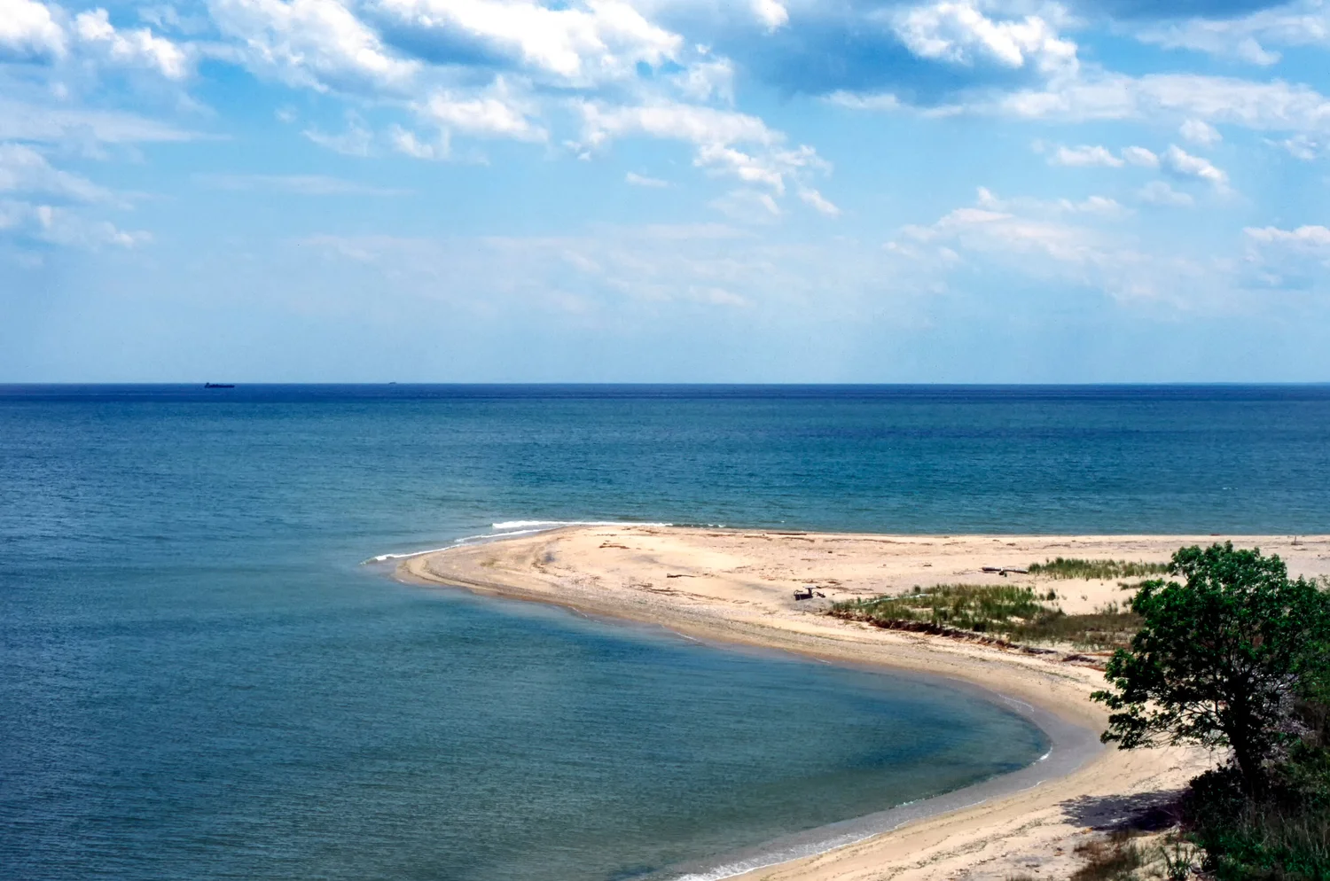Cove Point Natural Heritage Trust