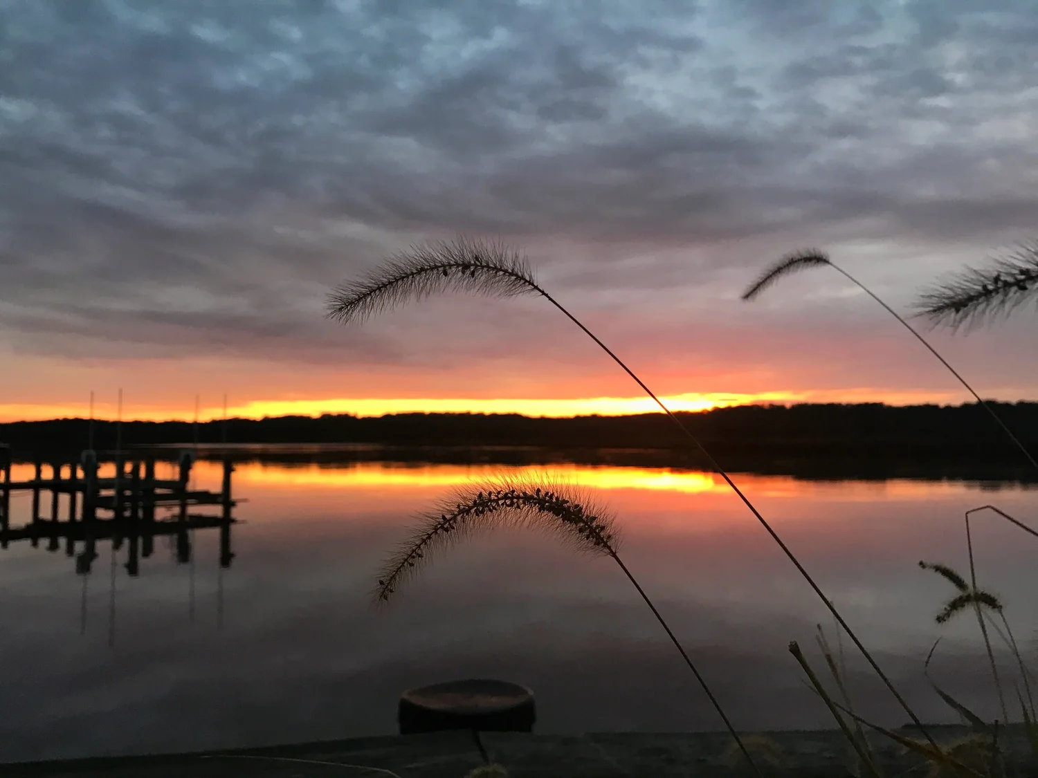 Cove Point Natural Heritage Trust