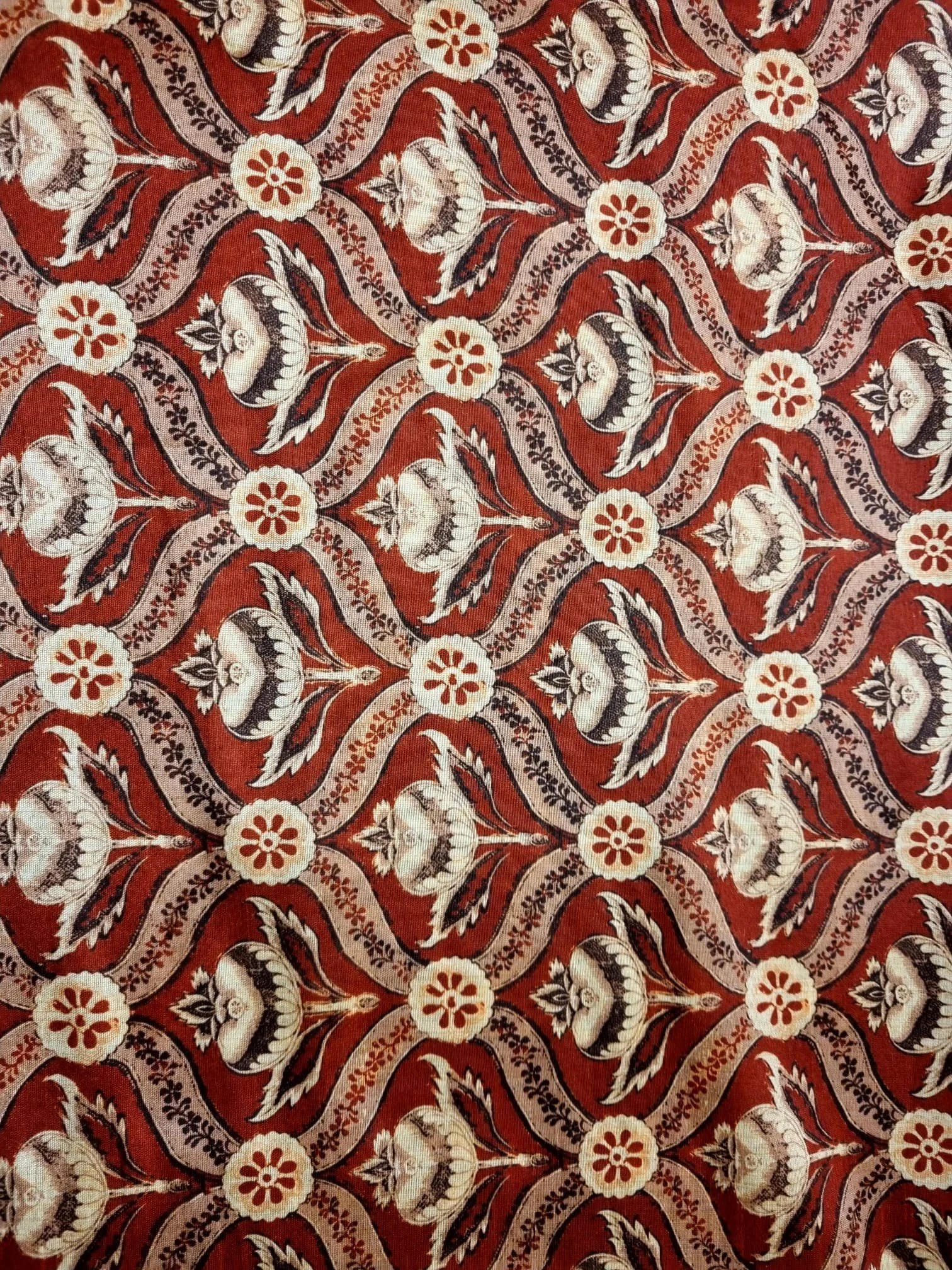 Printed Mango Silkette Peacock Feather — Ultimate Craft Shop Online Now
