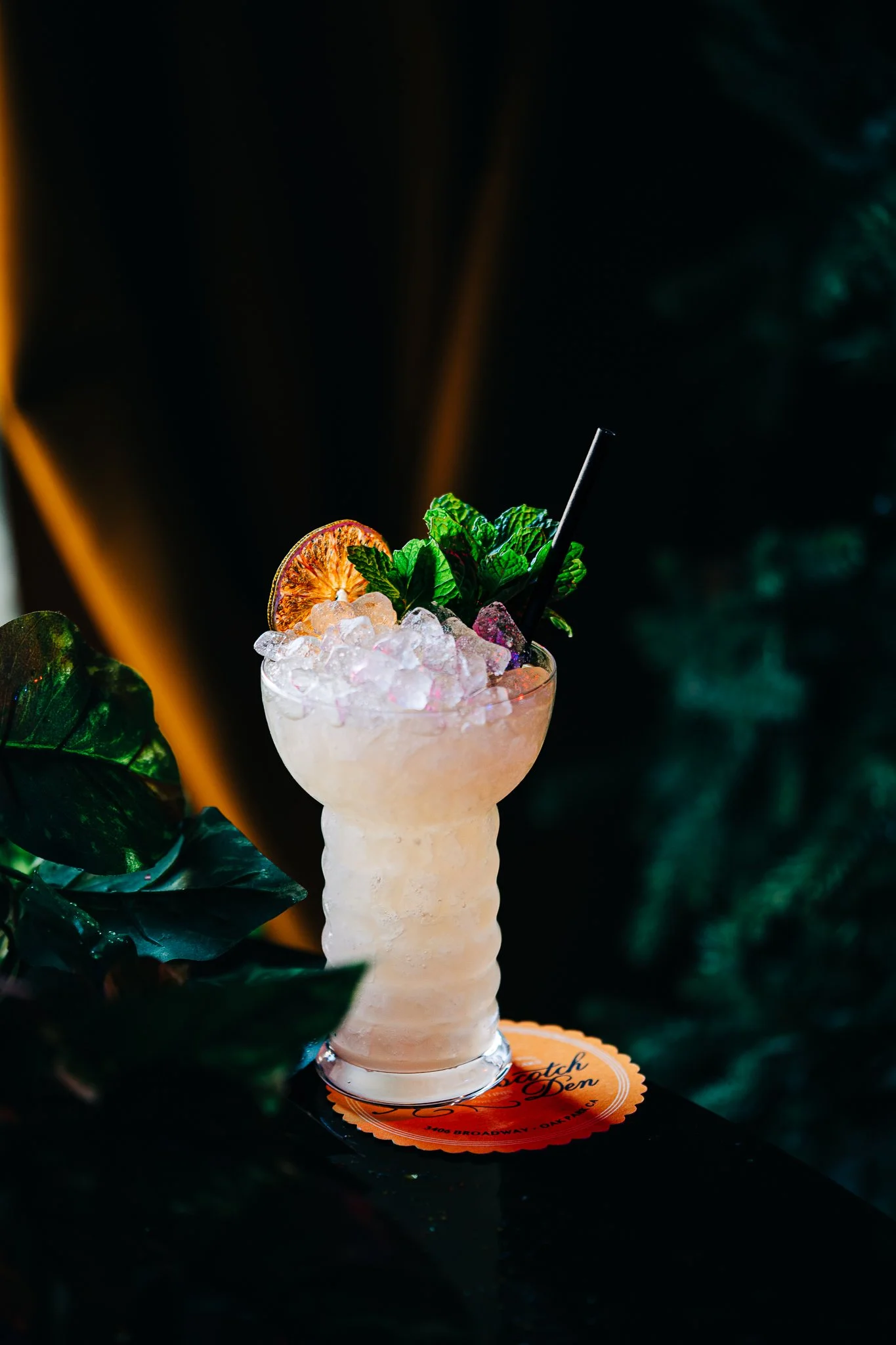 Anna Wick Photography