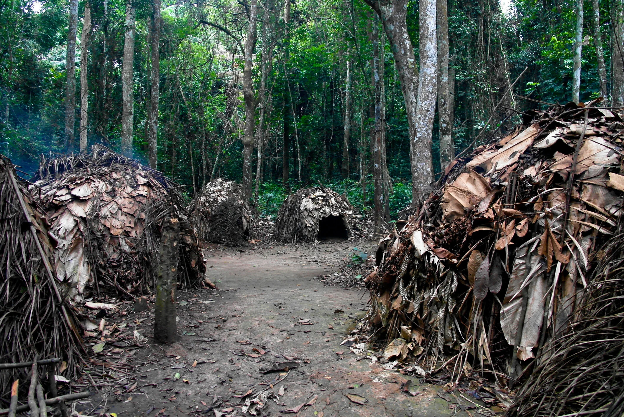 batwa people — Go Conscious Earth