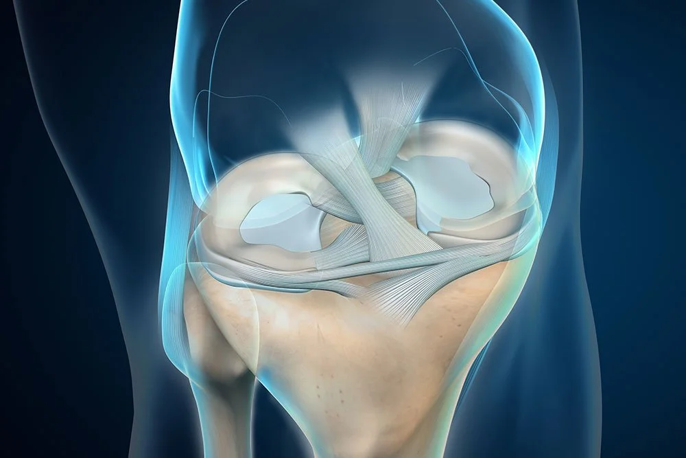 Which Meniscus Tear is More Common? | Worst Meniscus Tear — Dr. Bill ...