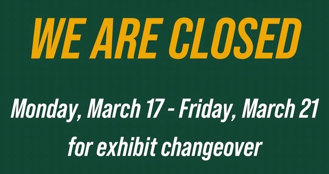 1999 Nissan Skyline GT-R R34 by Signal Auto — Audrain Auto Museum