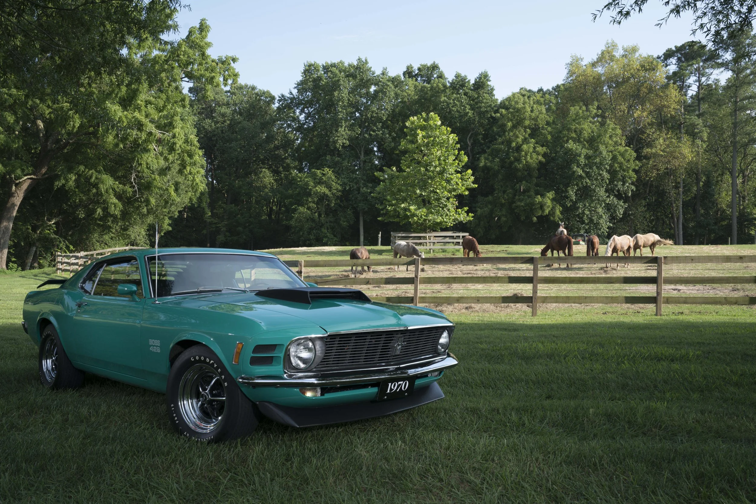 1970 Ford Mustang Boss 429 — Audrain Auto Museum
