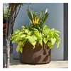 Designing a planter that pops. — PolyStone Planters