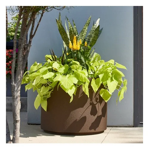 Designing a planter that pops. — PolyStone Planters