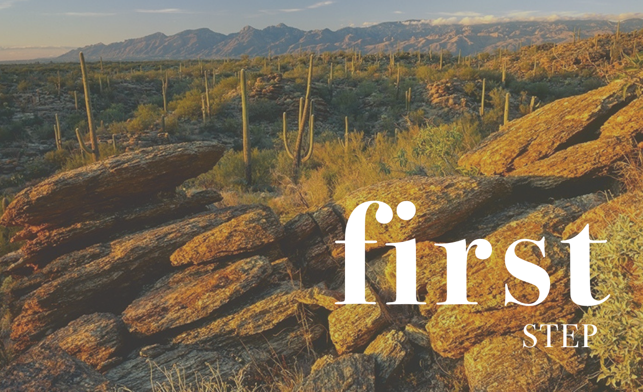 Life Track — Grace Church of Sahuarita