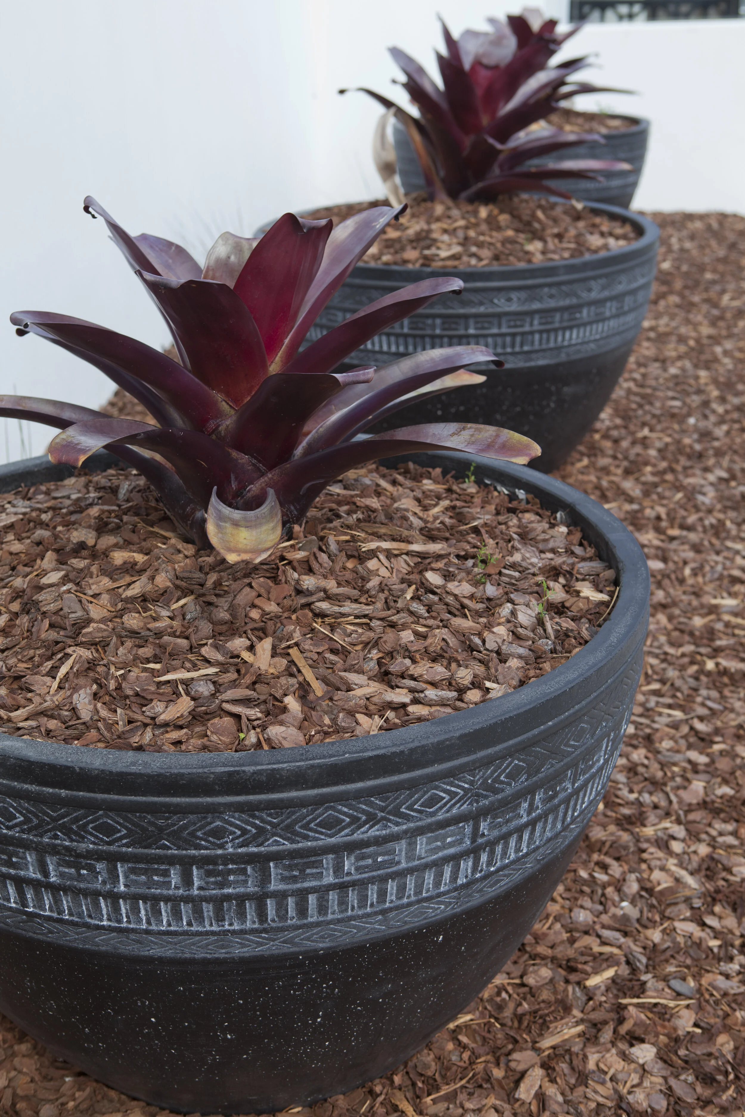 Green Spirit Landscapes | Sustainable Landscaping Design, Brisbane