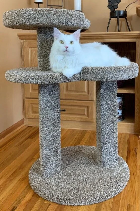 Cradle Cat Tree — Purrniture