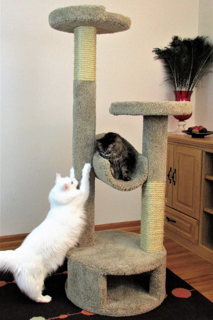 Purrniture® Cat Trees & Wall Mounted Cat Shelves | Large Modern Cat ...