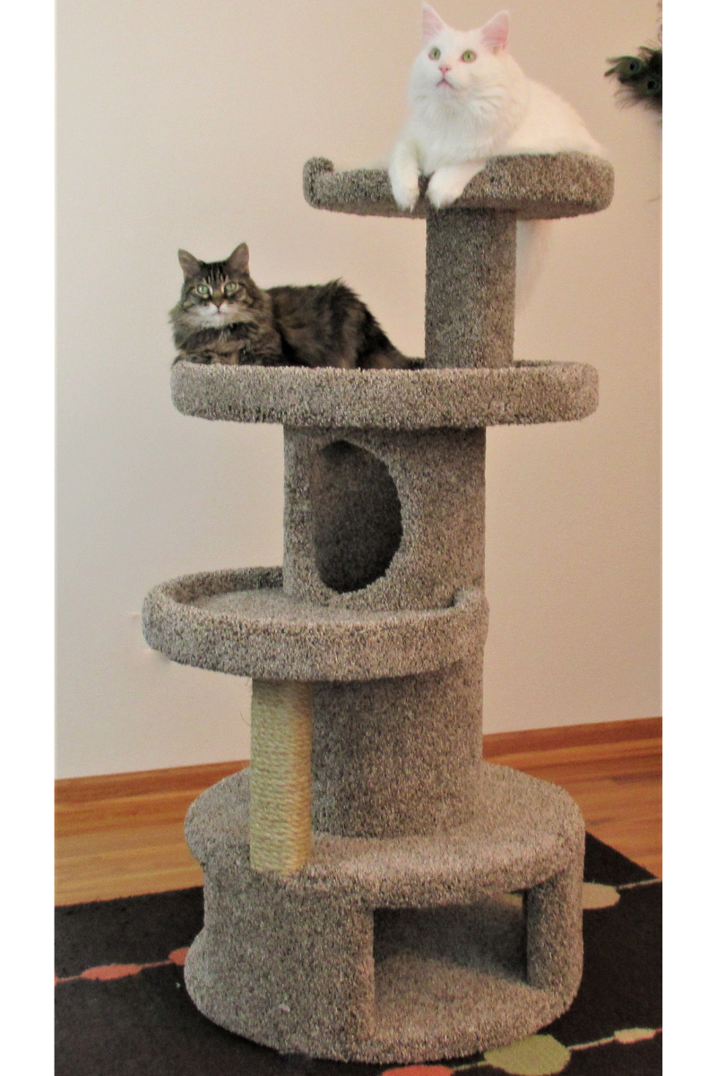 Tom Towers — Purrniture