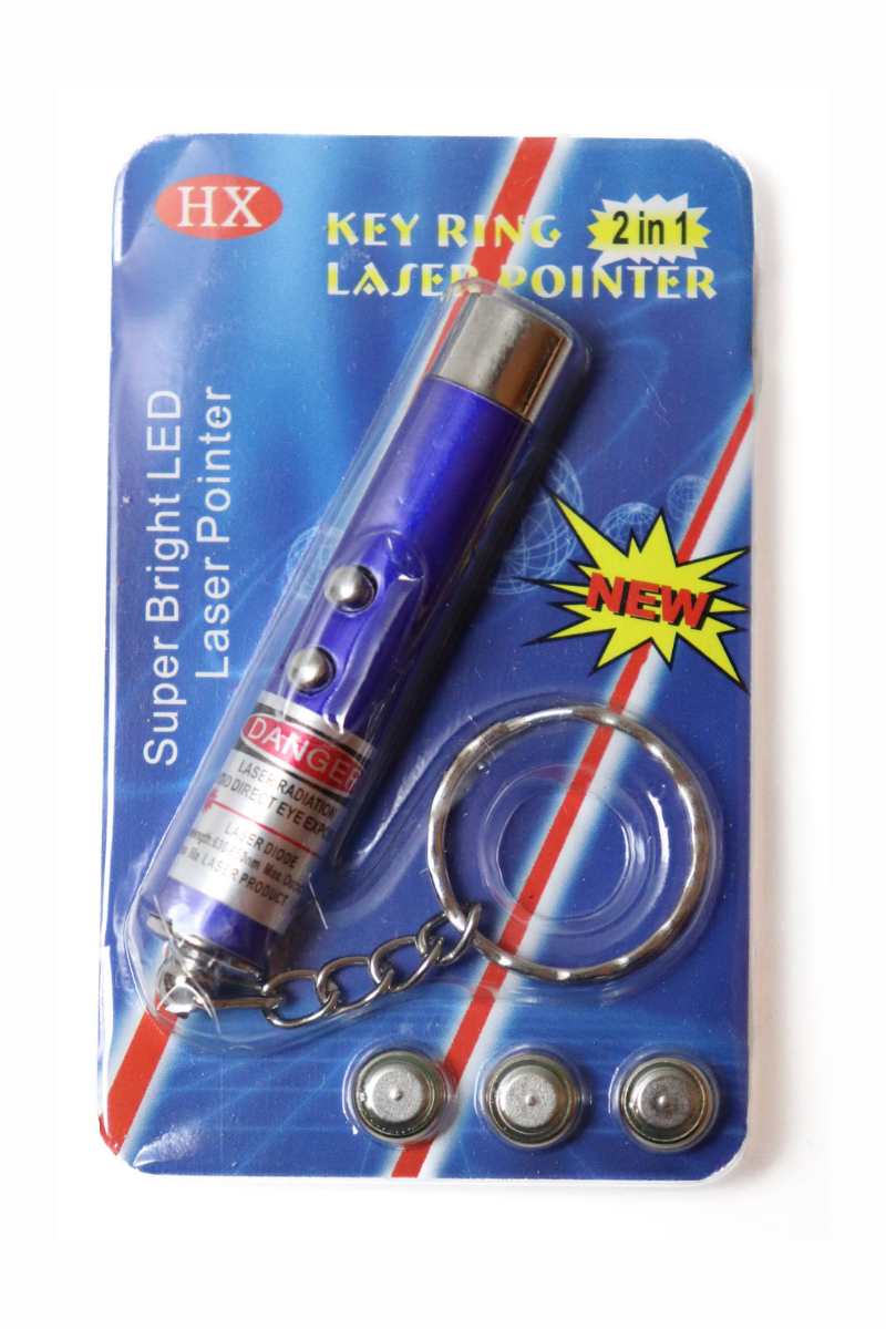 2 In 1 Laser Pointer Purrniture