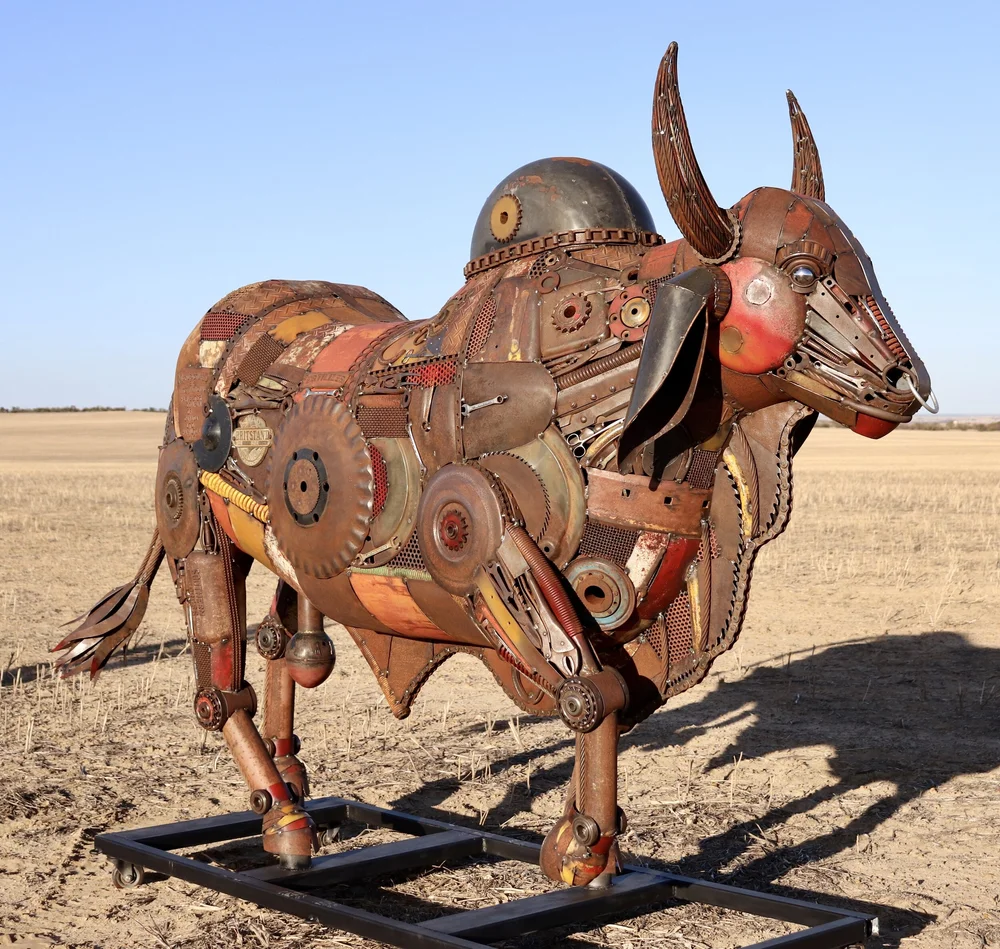 Brahman Bull Metal Sculpture — Jordan Sprigg Sculptures