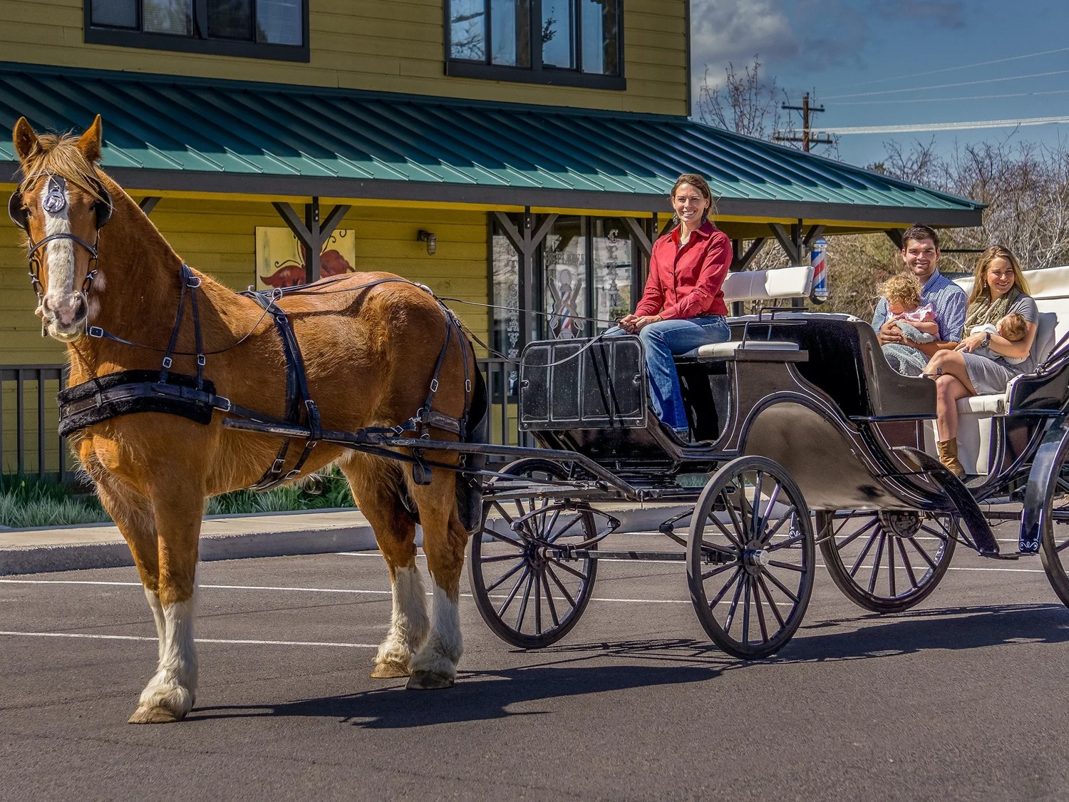 North Pine Carriage Company