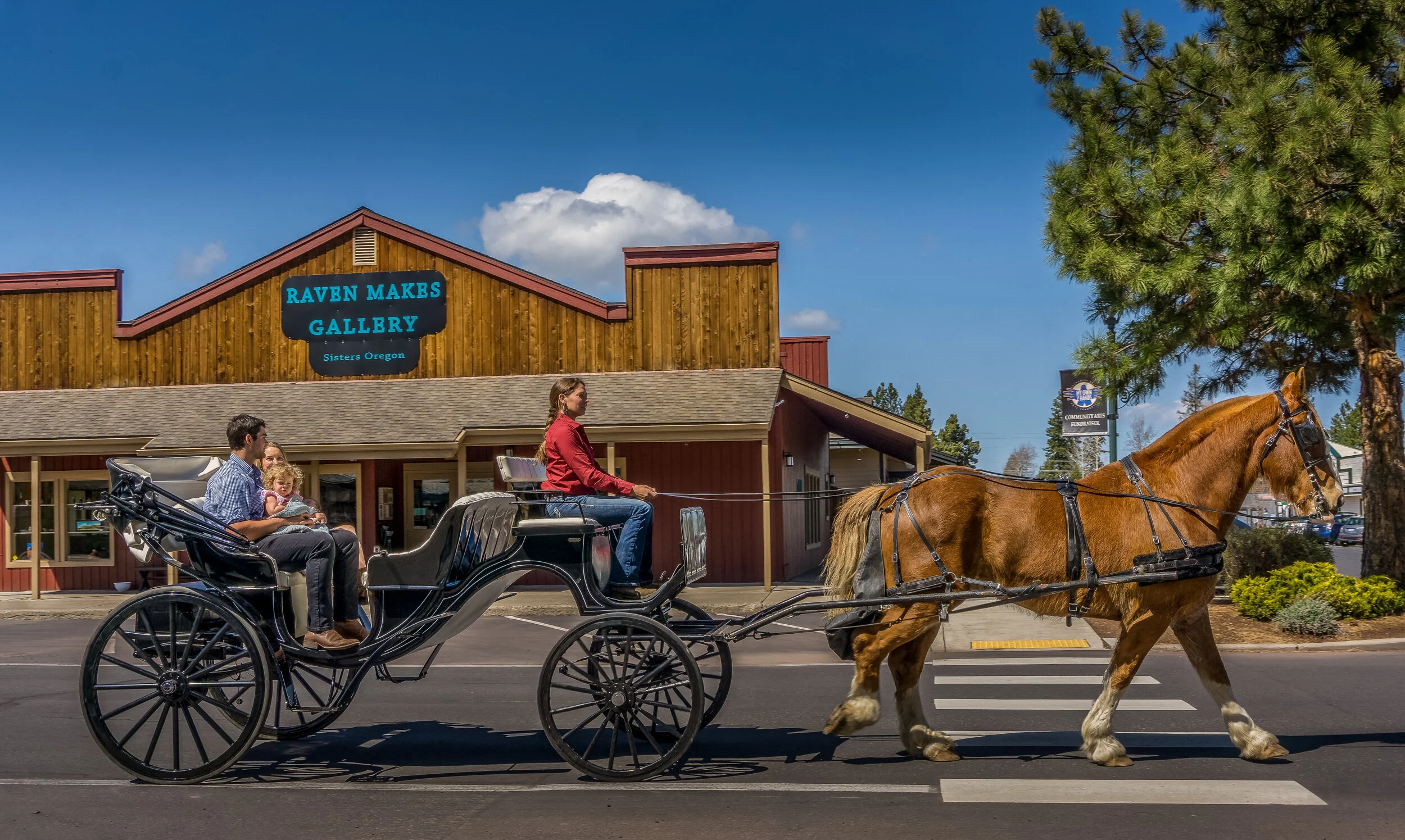 North Pine Carriage Company