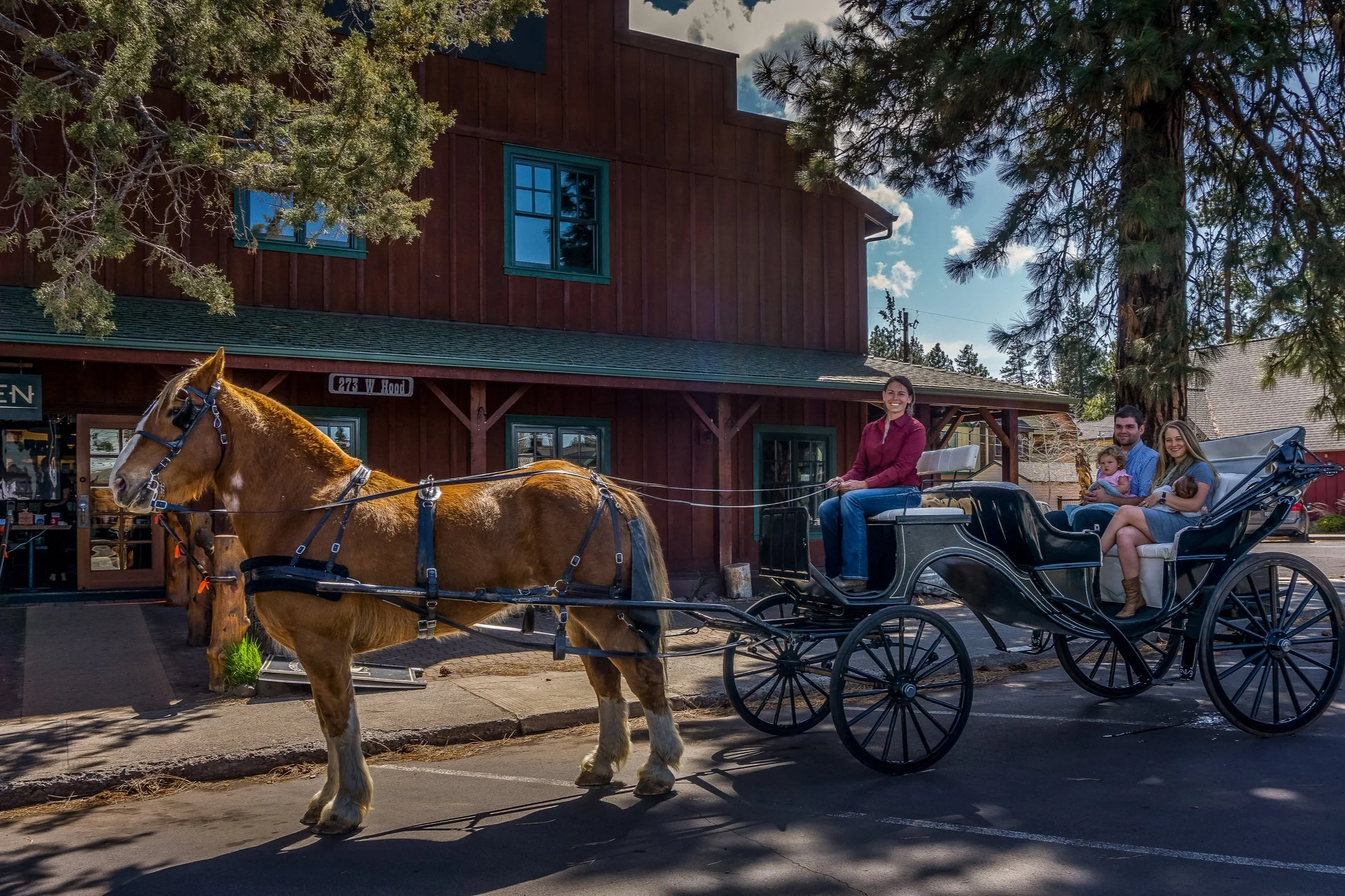 Tours — North Pine Carriage Company