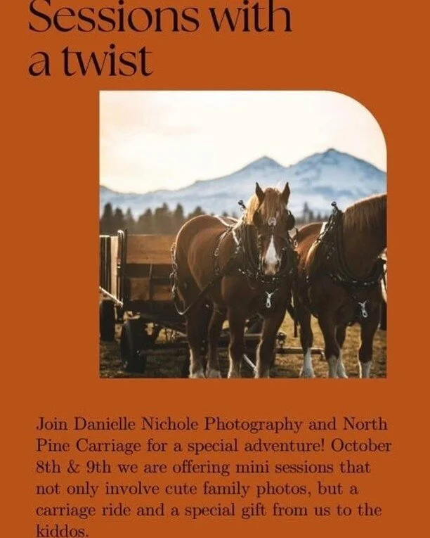 North Pine Carriage Company