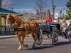 North Pine Carriage Company