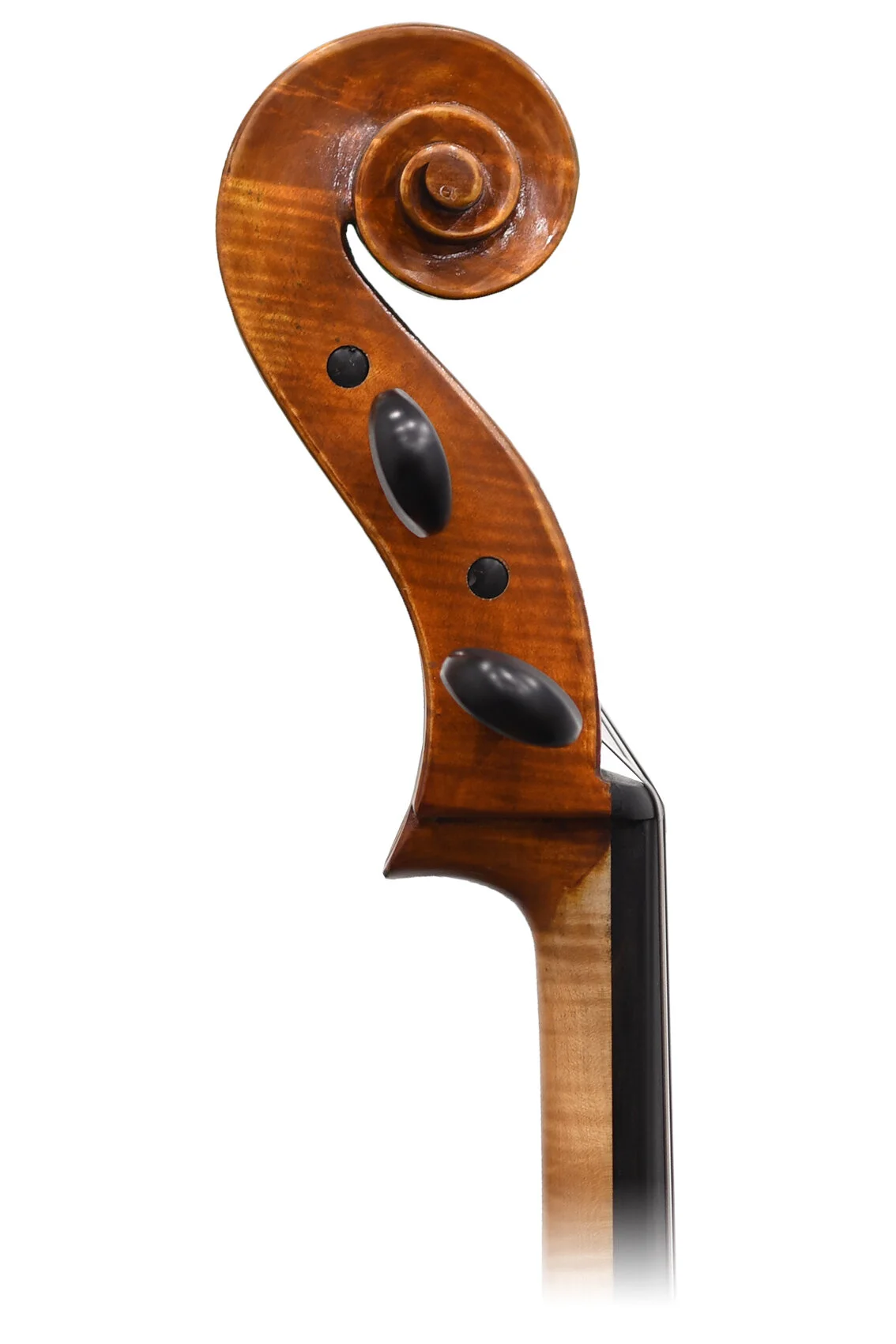 Cellos — Stringers of London