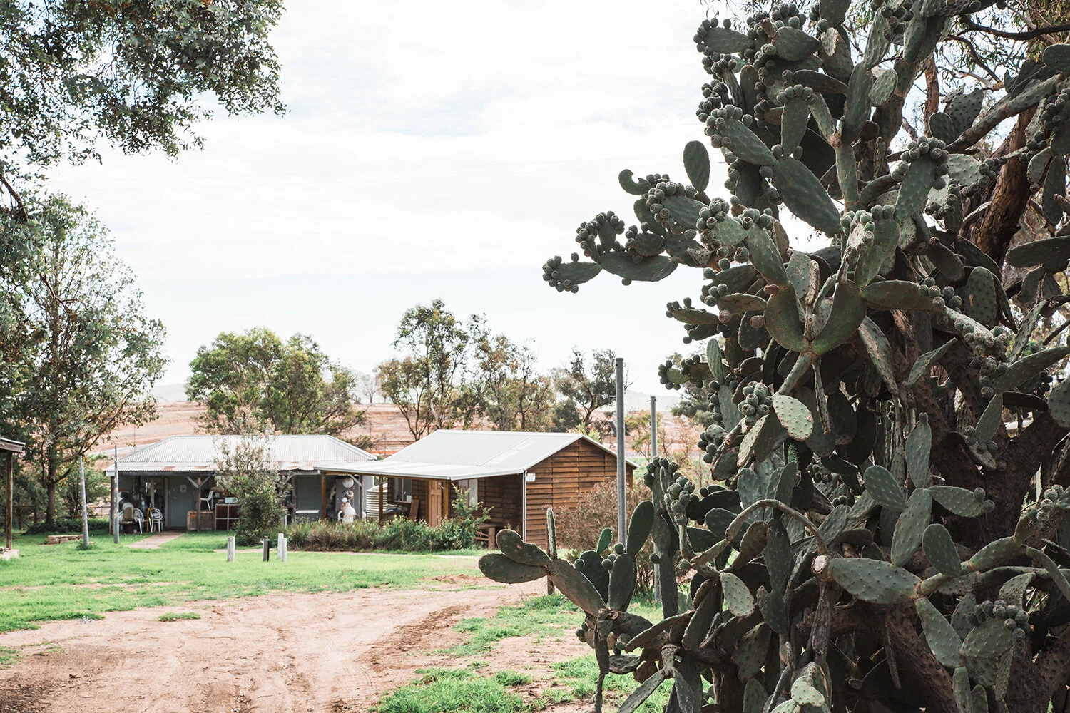 CONNECTIONS… A Self Guided Walk — Strathnairn Arts — Strathnairn