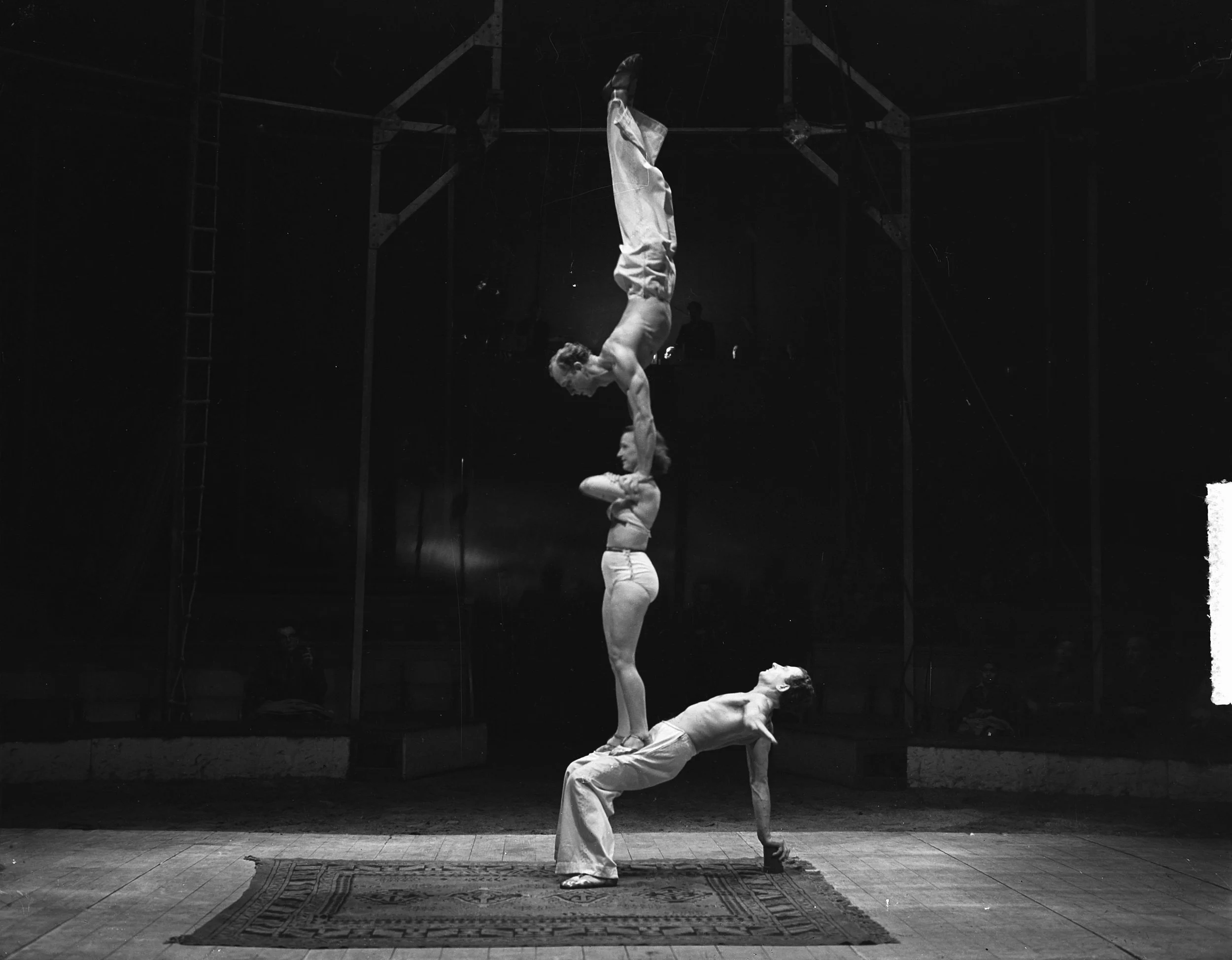 Circus and the body — Queef.