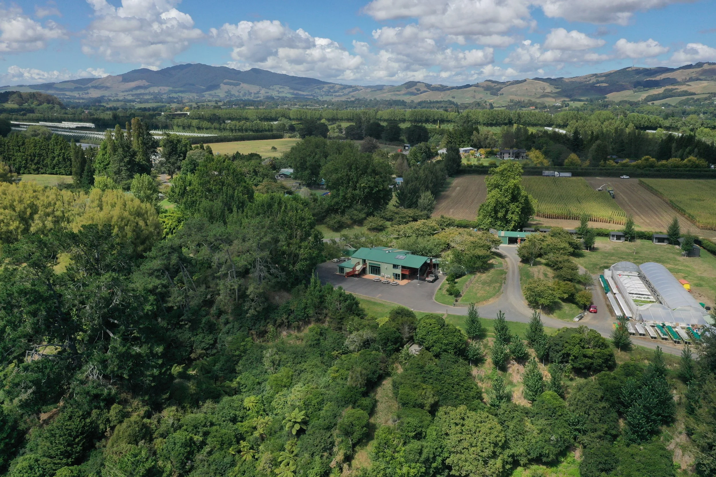 Camp Mana — Mana Services