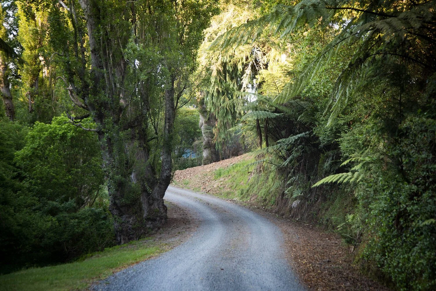 Camp Mana — Mana Services