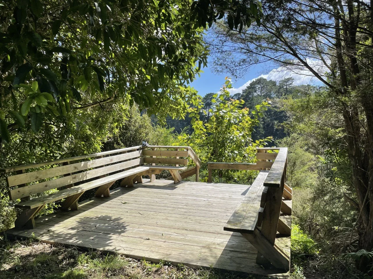 Camp Mana — Mana Services