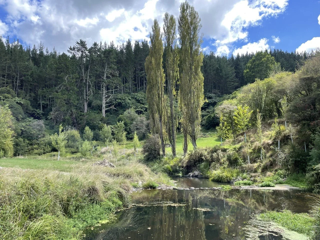 Camp Mana — Mana Services