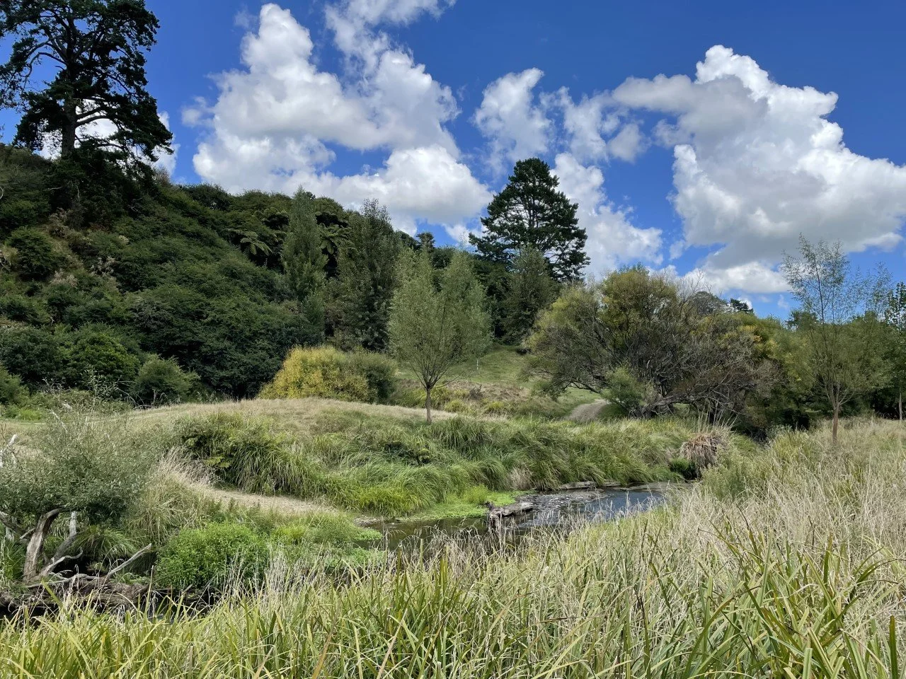 Camp Mana — Mana Services